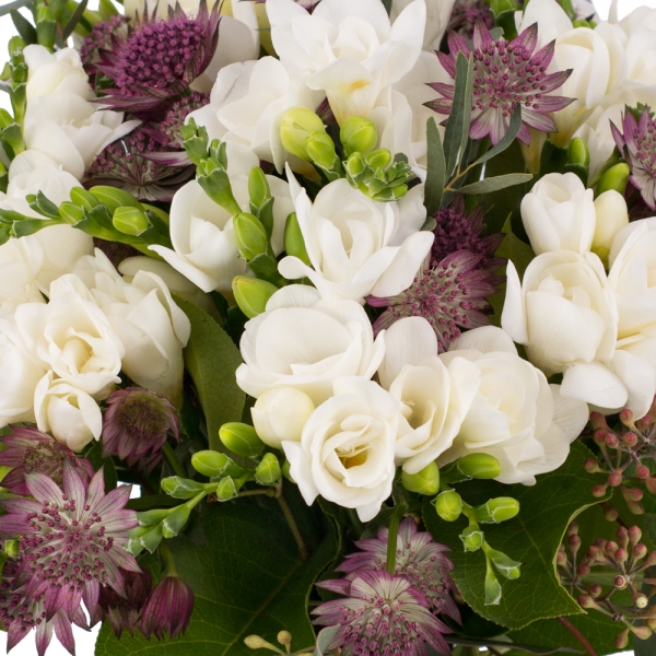 Buchet de 19, Frezii, Albe, Frezie, 10, Astrantia, Grena, Verdeață