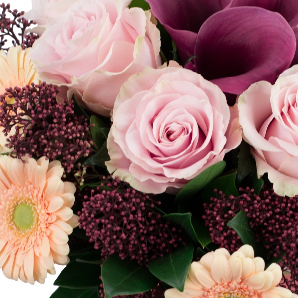 Buchet de Gerbera, Crem, Trandafiri, Crem, Cale, Mov, Matthiola, Roz ...